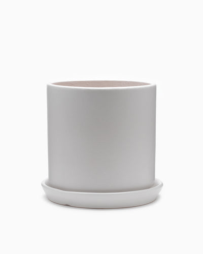 Large Matte White Cylinder Pot